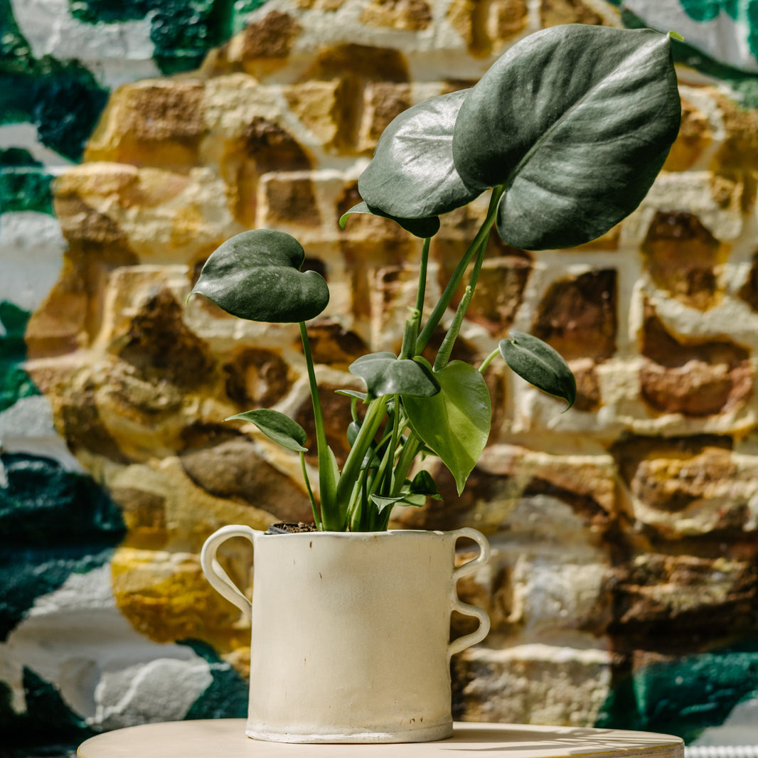 Creative space offering open studio membership and pottery classes ...